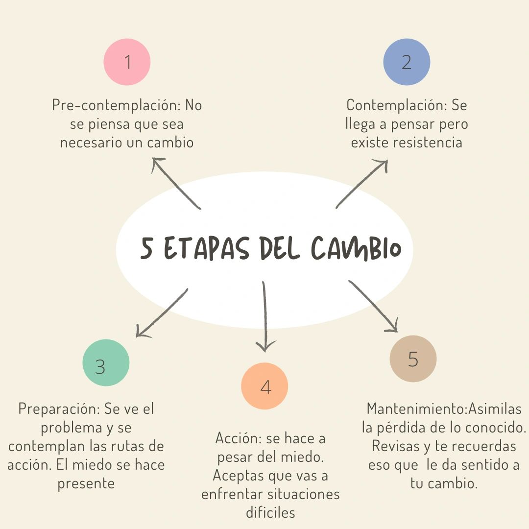 Etapas Del Proceso De Cambio at Aileen Markham blog