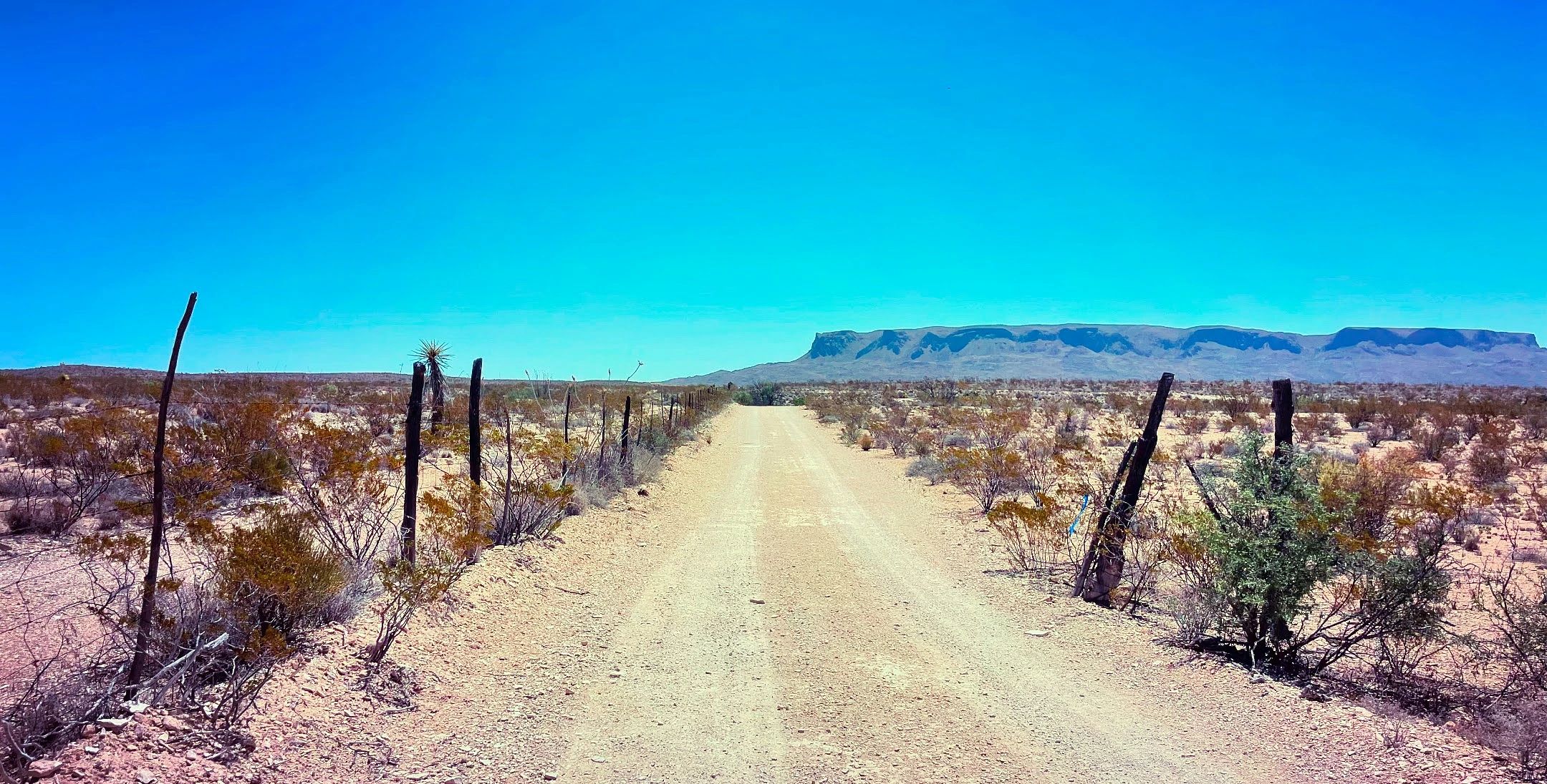 David Garner UX Designer/Leader