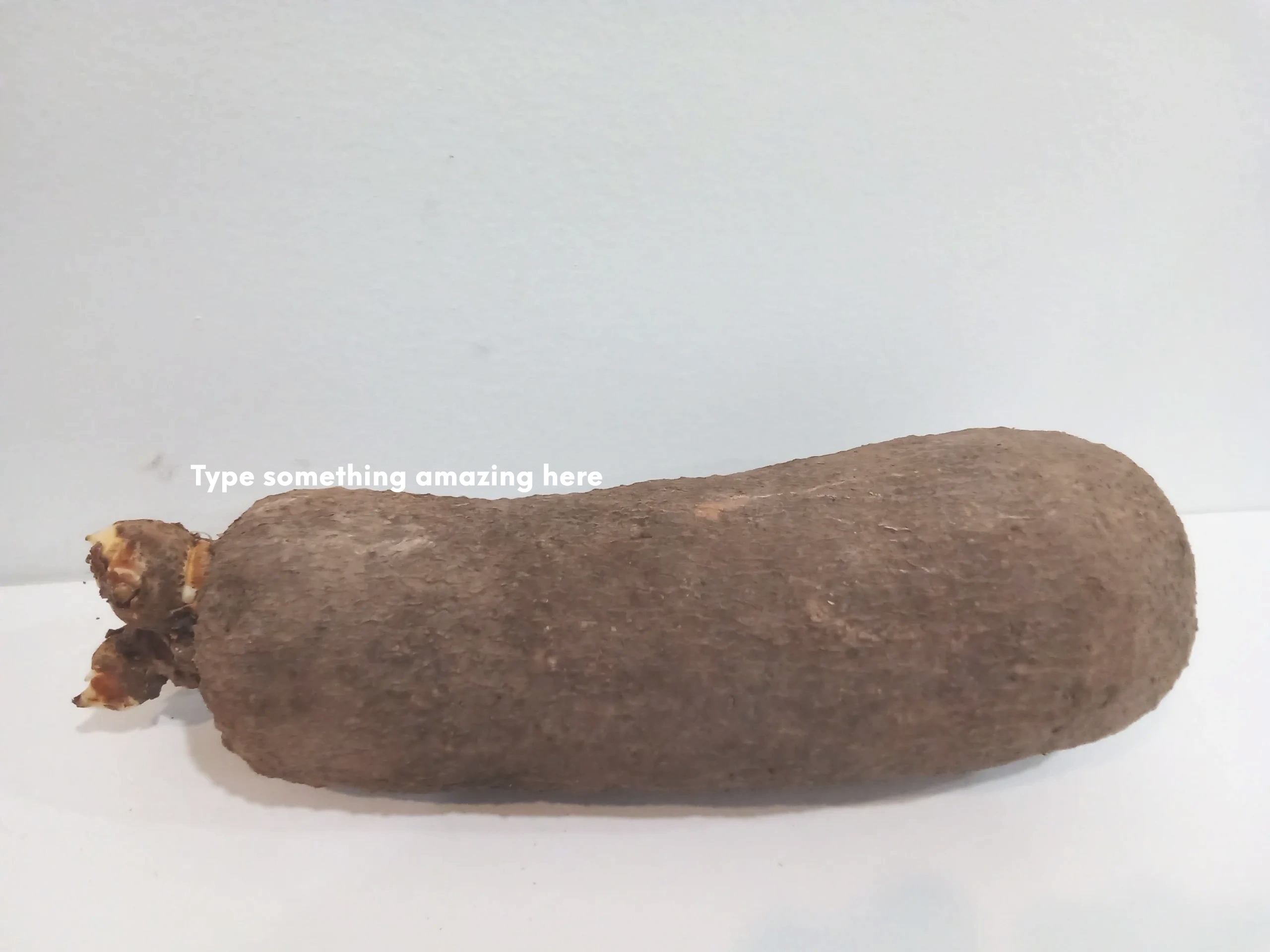 Quality Apparel At Wholesale Prices - Afashi Wholesale