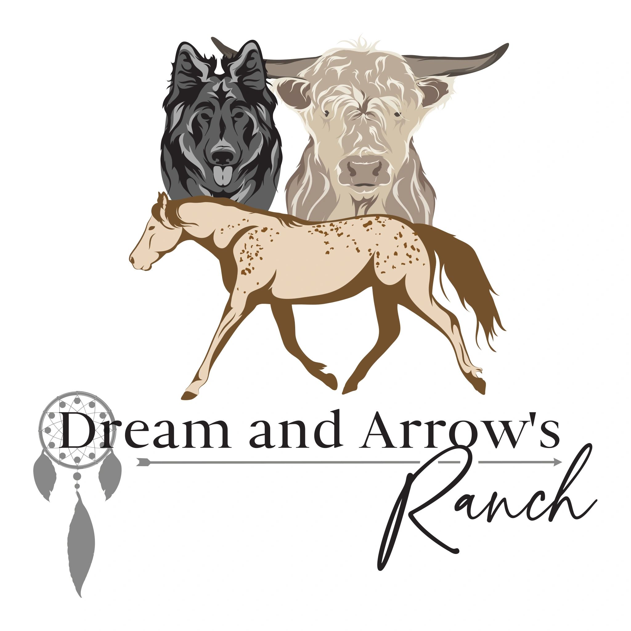 Upcoming Litters | Dream and Arrow’s Ranch
