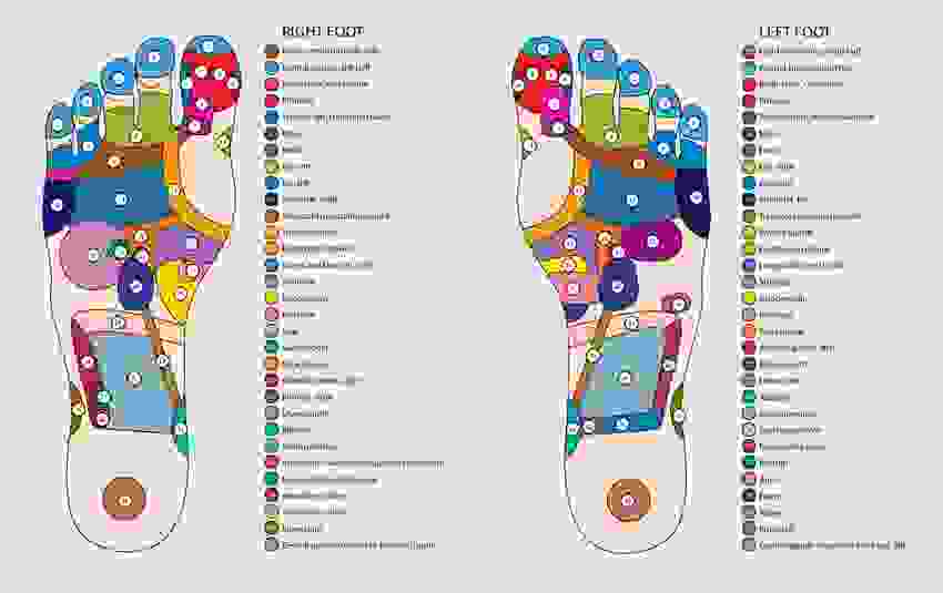 Reflexotherapy | CenterforAncientAlchemyandTheHealingArts