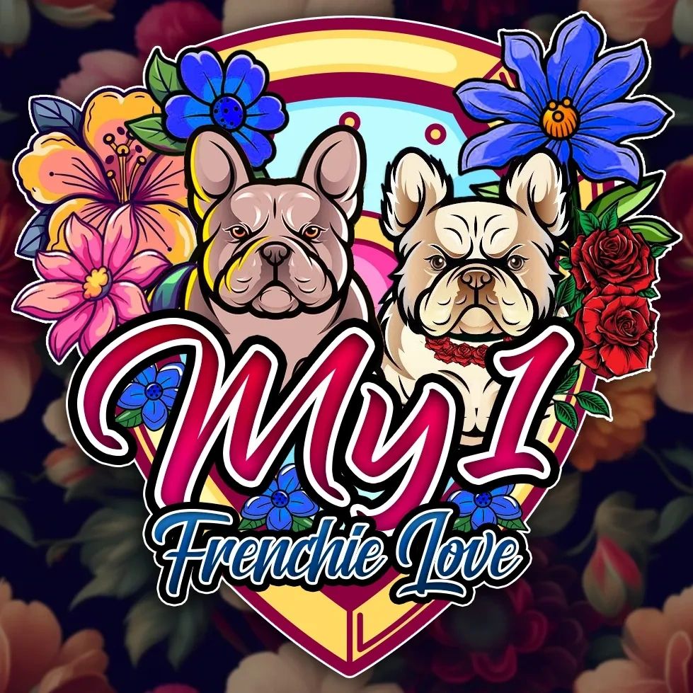French Bulldog Puppies - My 1 Frenchie Love