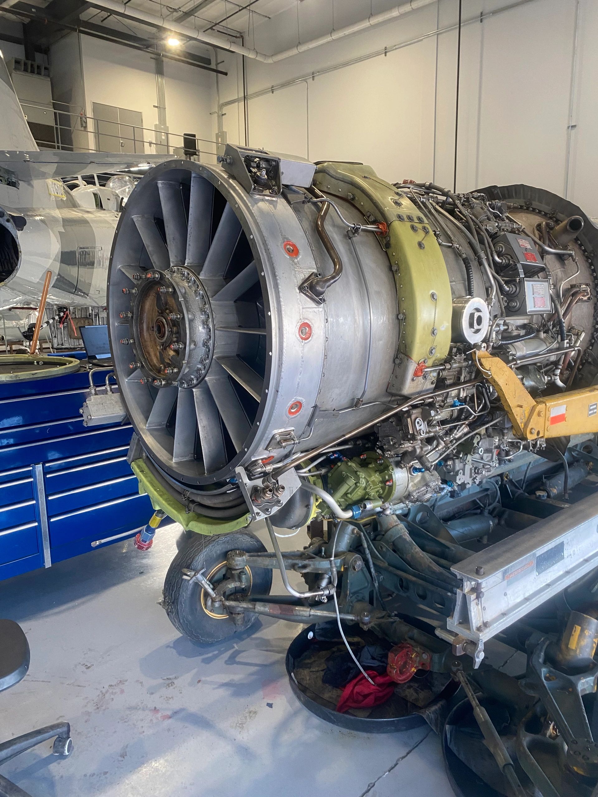 Official Merchandise