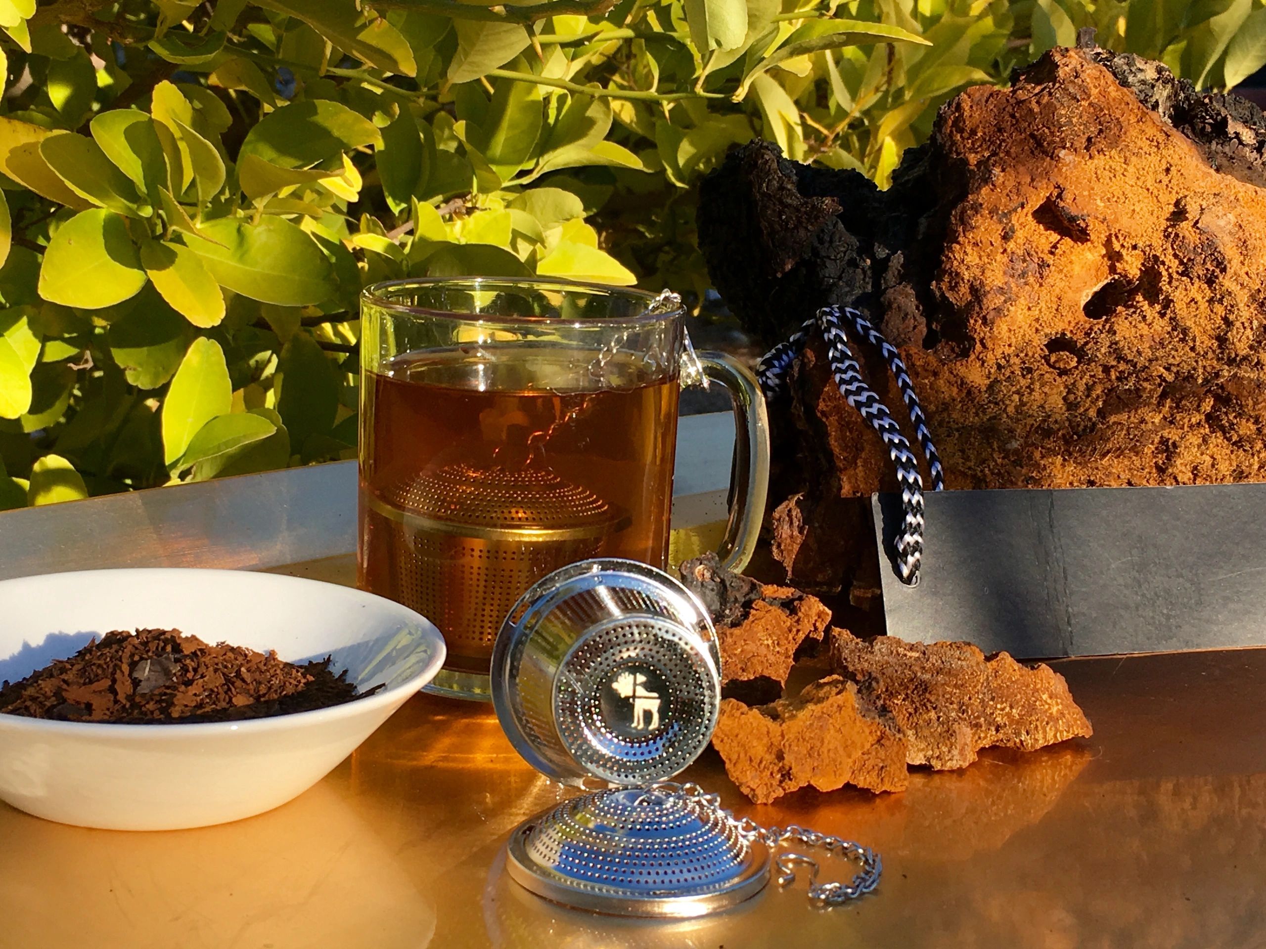 Healthy Super Foods - Alaska Edge Chaga