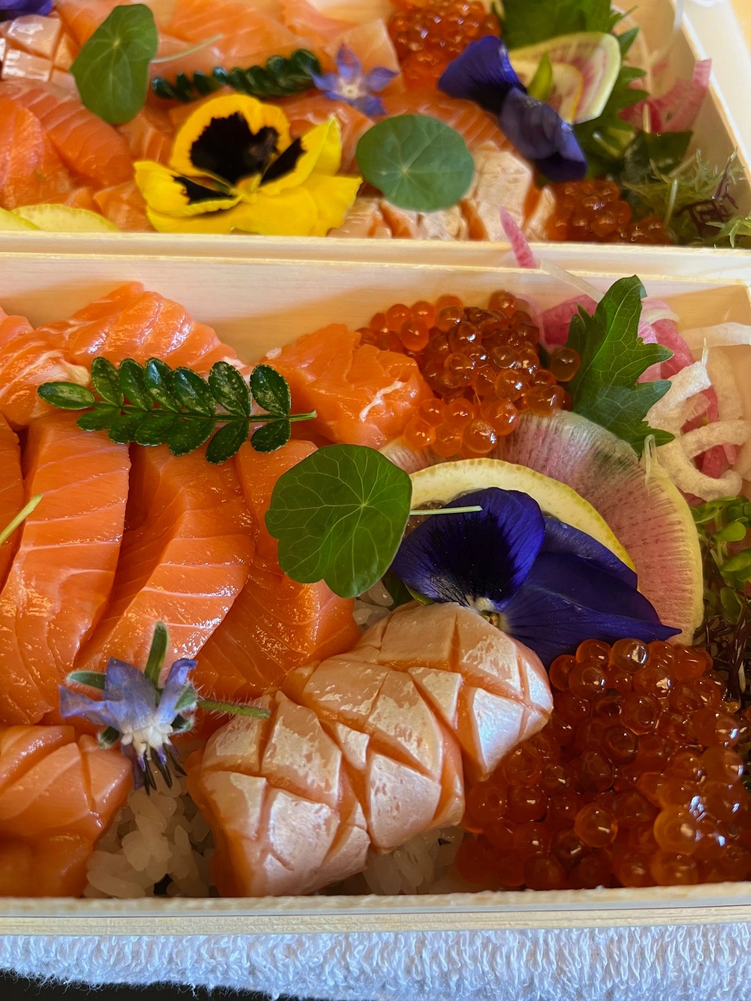 Sushi Restaurant - Cloud Sushi Truckee