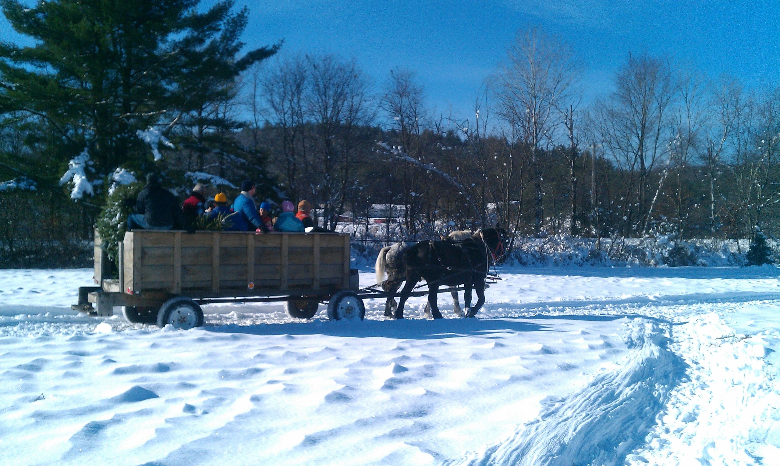 RogWallace.com - Trombones, Tubas, Brass, Christmas Music