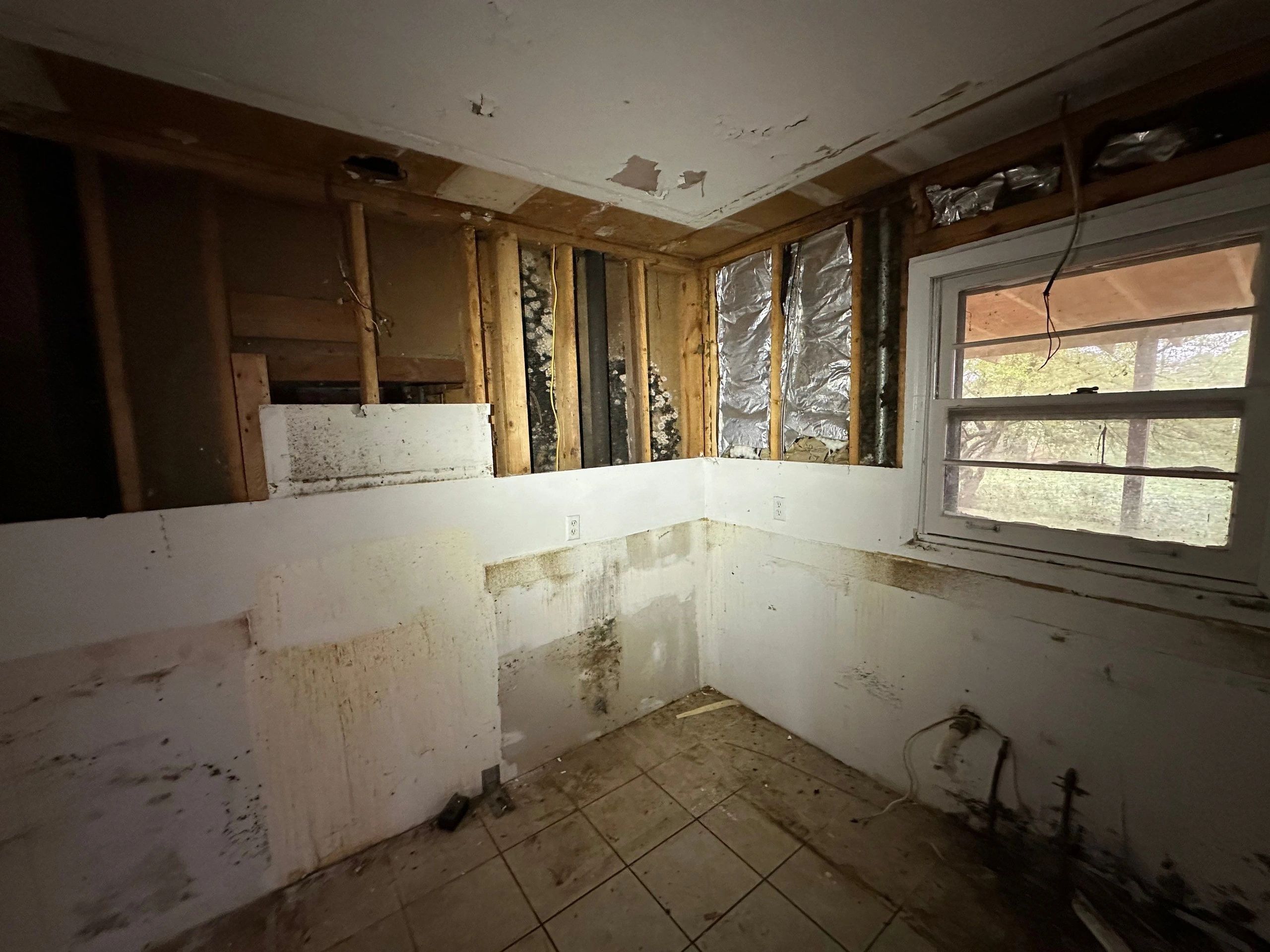 Mold Removal Alabama - Certified Experts You Can Trust