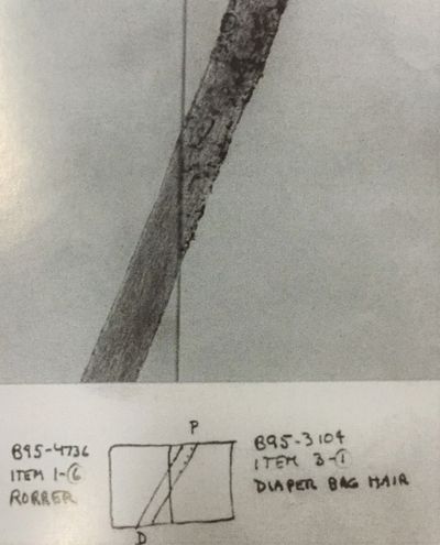 Patricia Rorrer - Wrongful Conviction, Innocent, Nonprofit