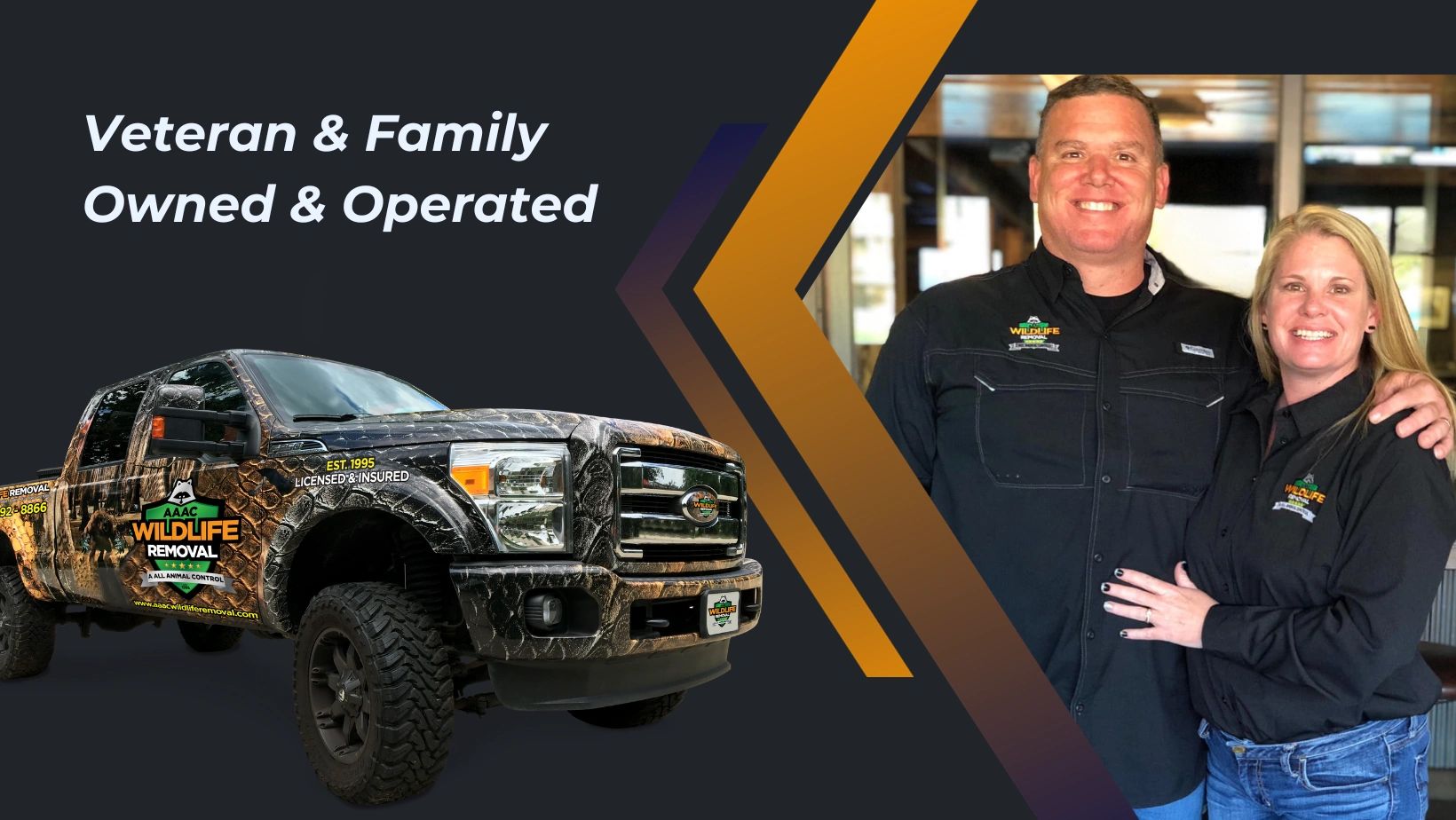 Beaver Control - AAAC Wildlife Removal of South Carolina