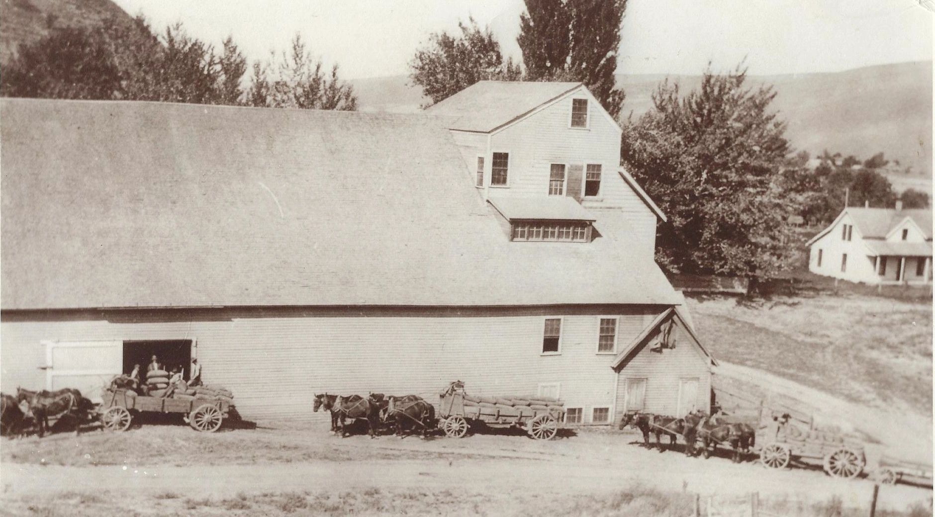 Pataha Flour Mill