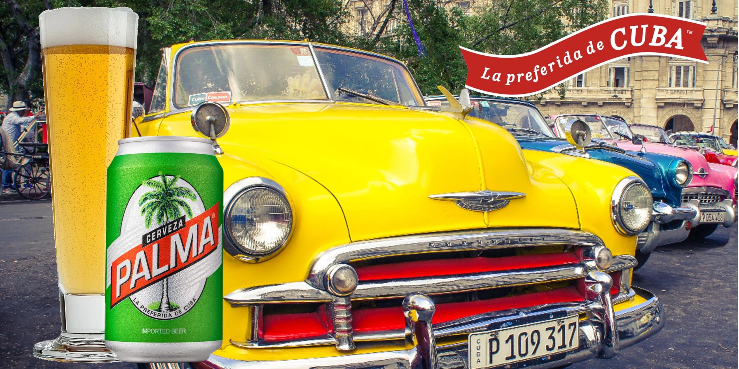 Find Palma® | Cerveza Palma®