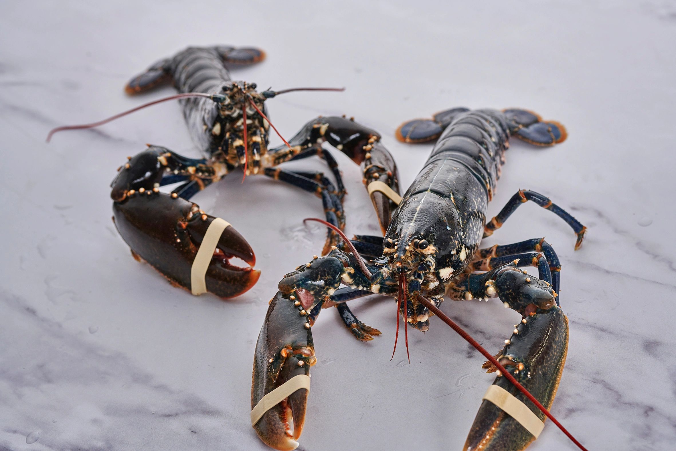 Best Steakhouse Bath - Frites Caesar Restaurant