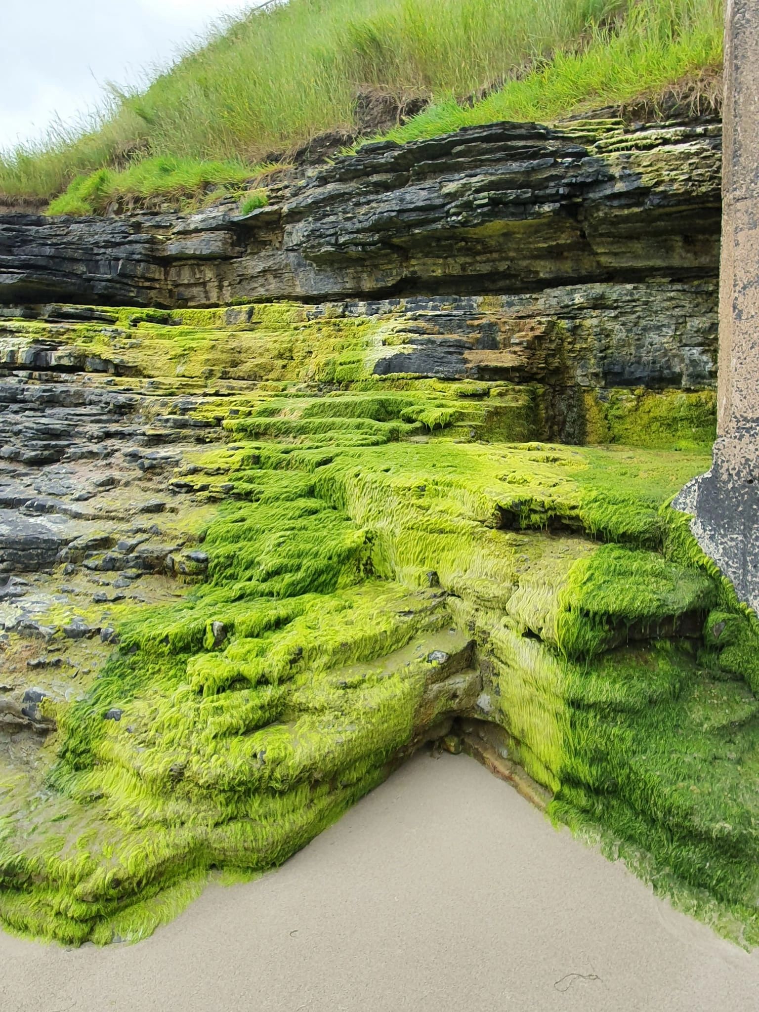 Healing with Haikus in Nature