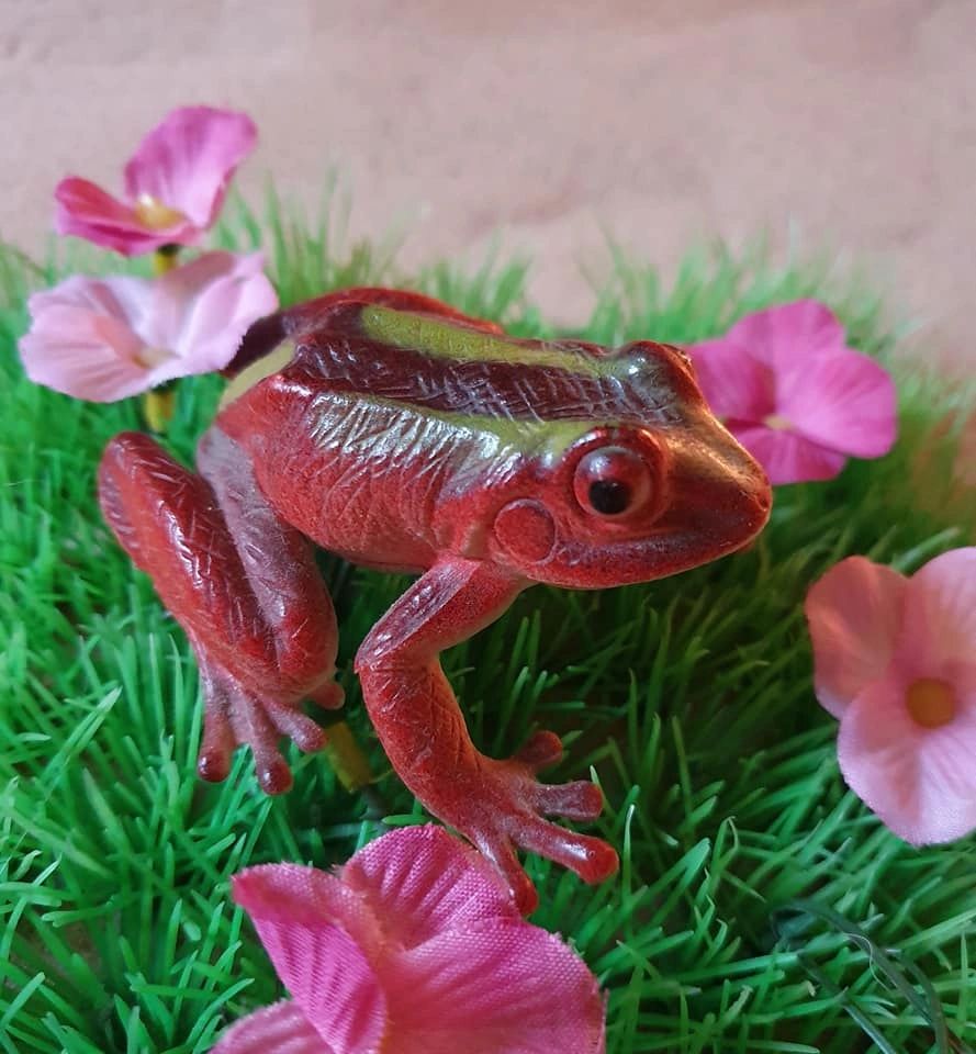 Meet a Sandplay Symbol: FROG