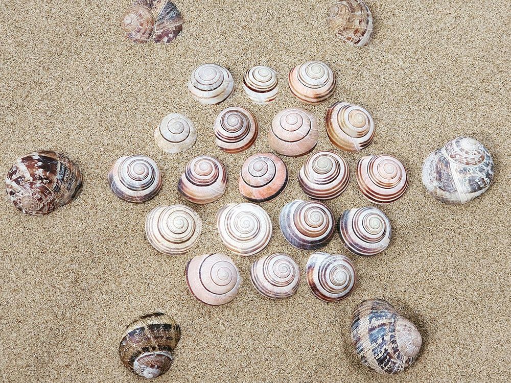 Meet a Sandplay Symbol: SAND