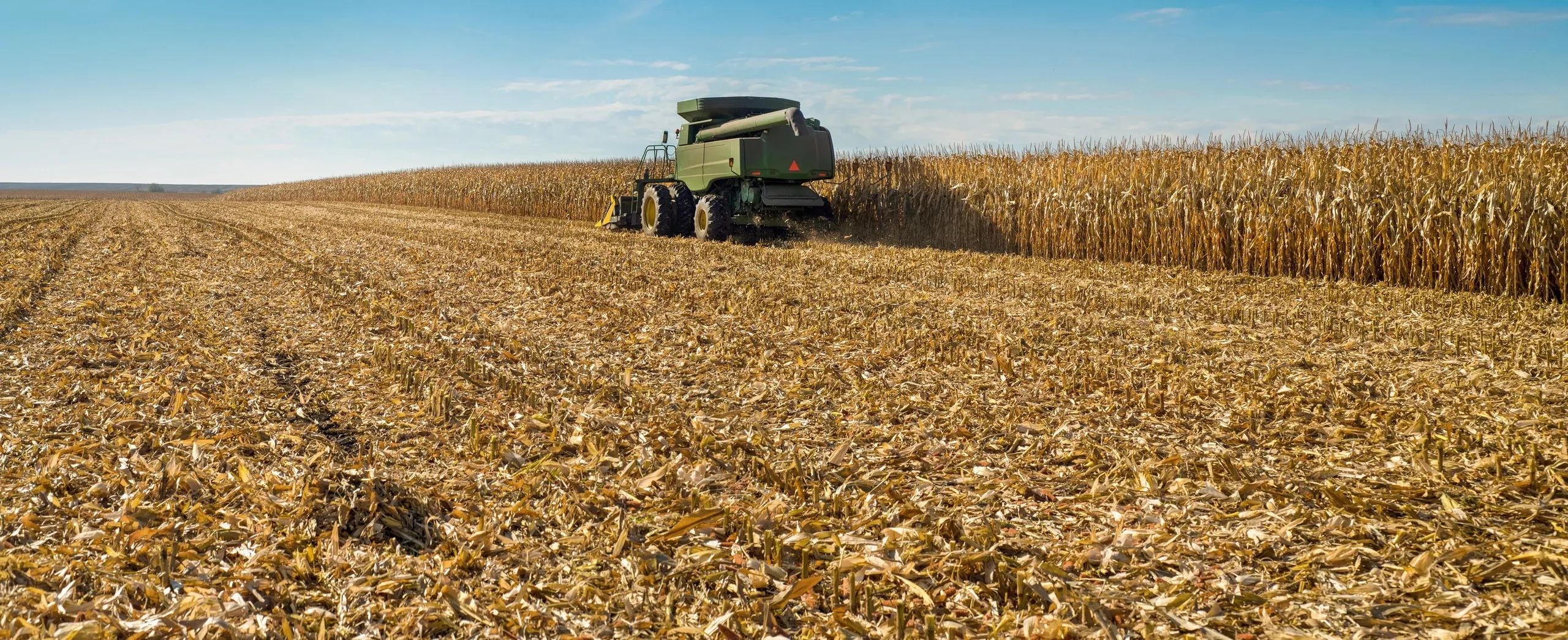 Our Team | Wellington Commodities