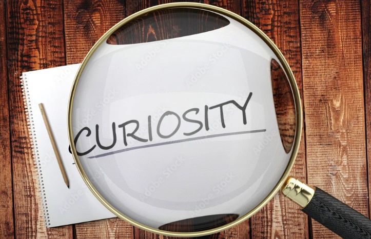 Curiosity.
