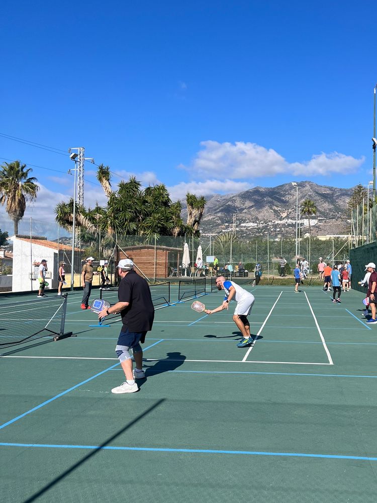 pickleballproretreats.com