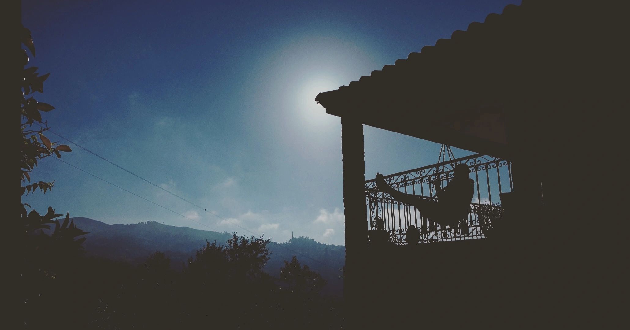 Finding Meaning in Modern Life With San Pedro Medicine