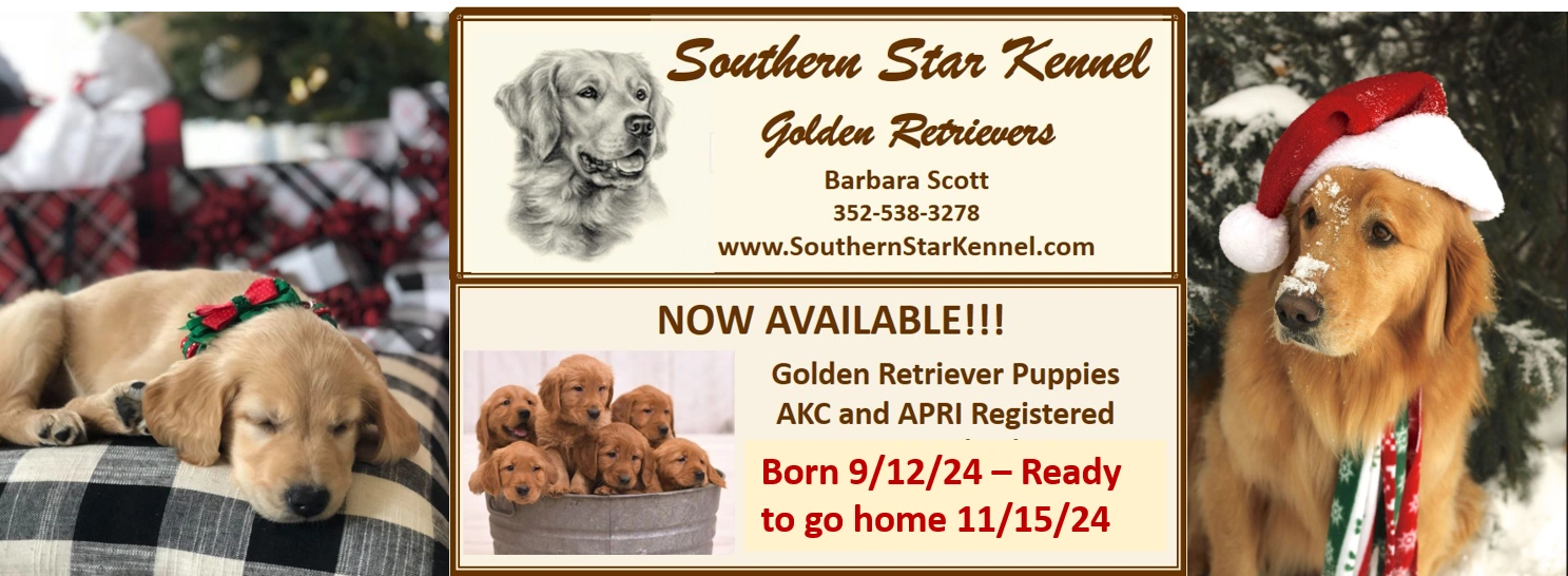 Southern Star Kennel