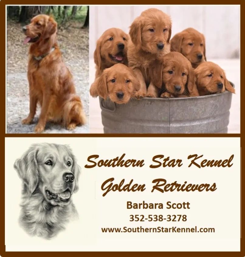 Southern Star Kennel