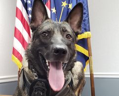 Shirley Police Department