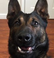 Shirley Police Department