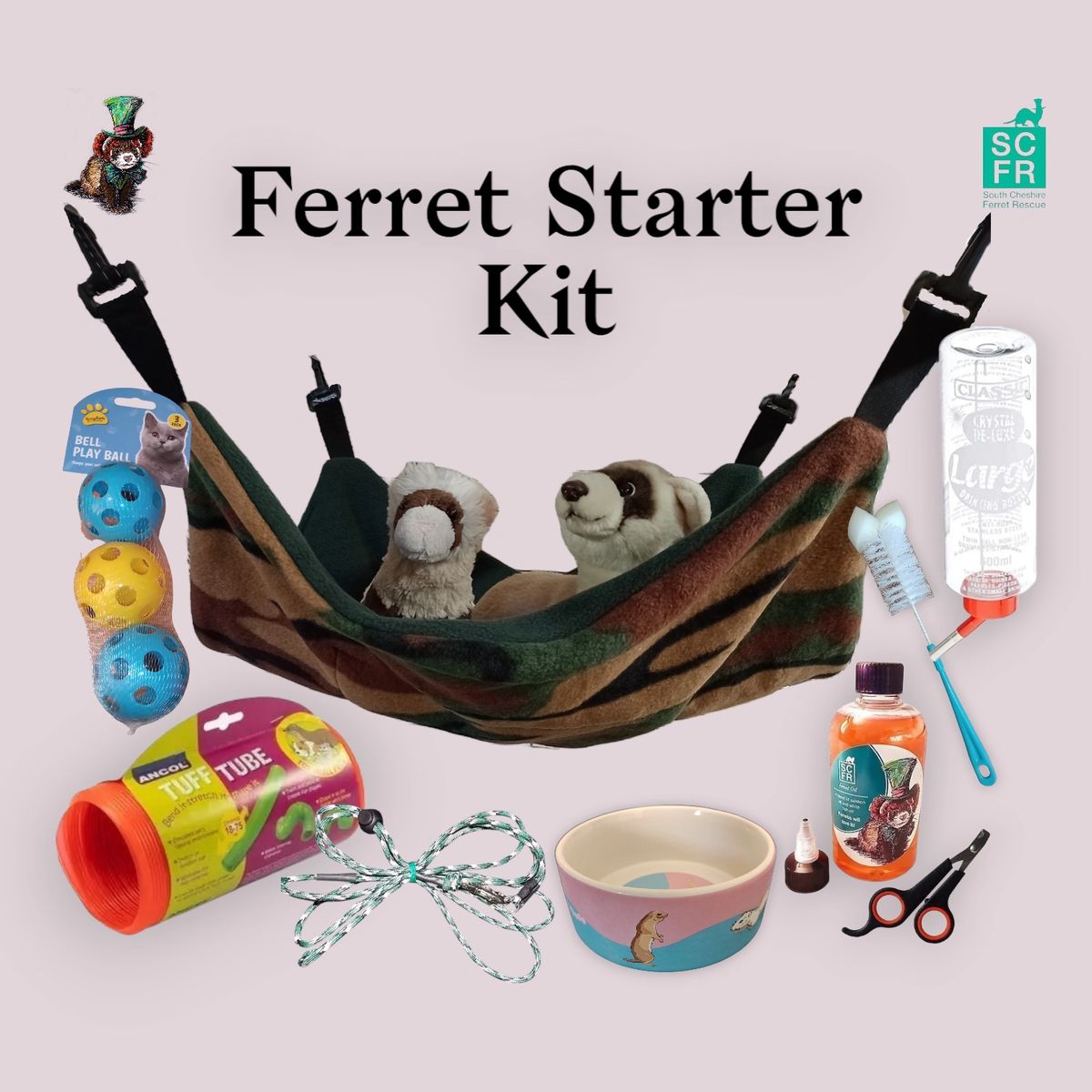 New Ferret Starter Kit
