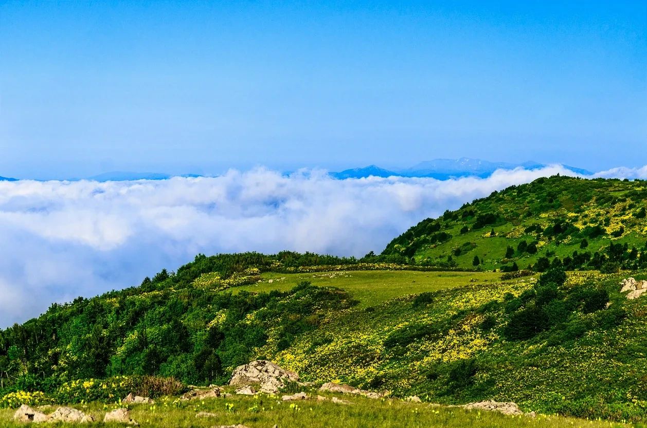 '23-'24 CHAMPIONS-RESULTS