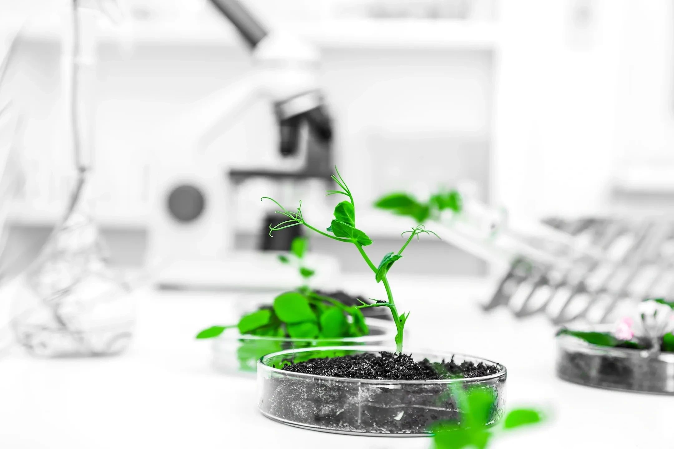 VETERINARY | Ergofito Bio