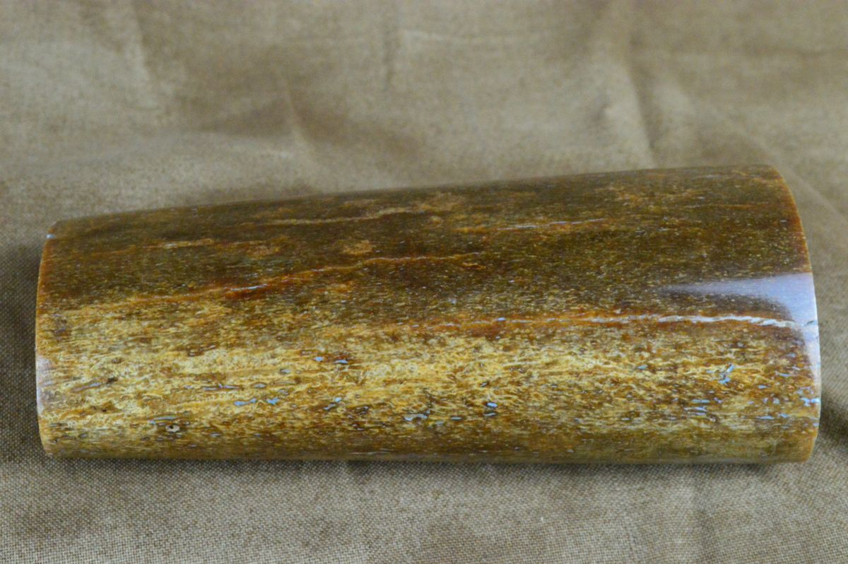 Fossilized Sea Cow Rib Bone (SKU - M101)