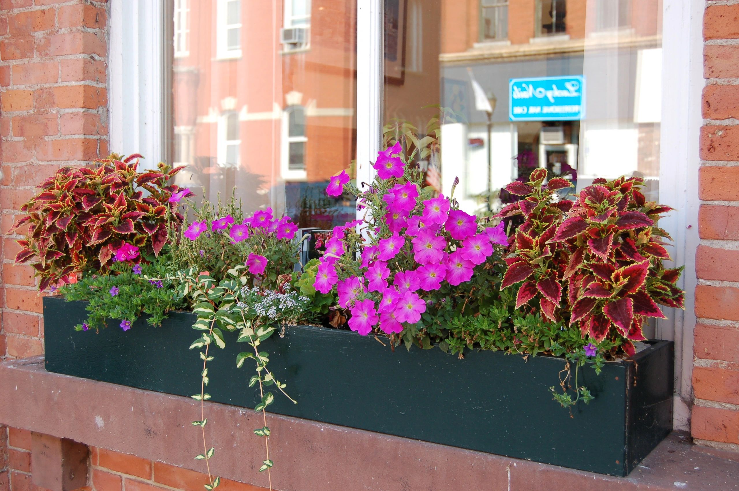 Gallery | CONSIDINE ARNOLD & SCHOPP LLP