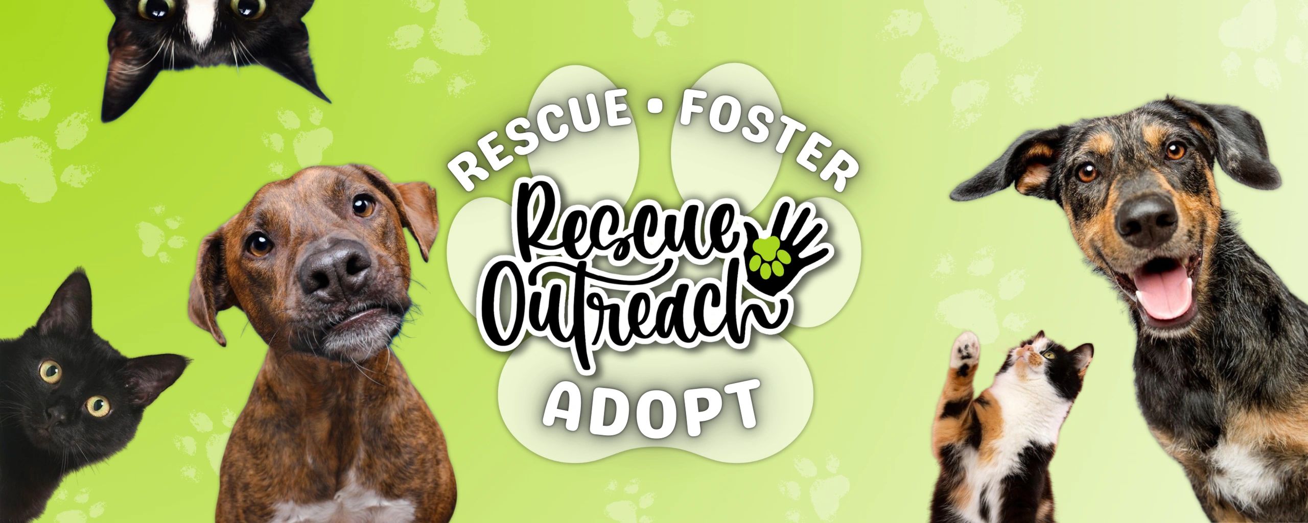 Rescue Outreach, Inc.