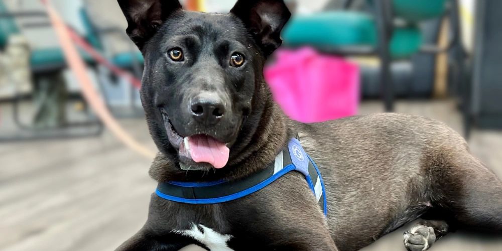 Rescue Outreach, Inc.