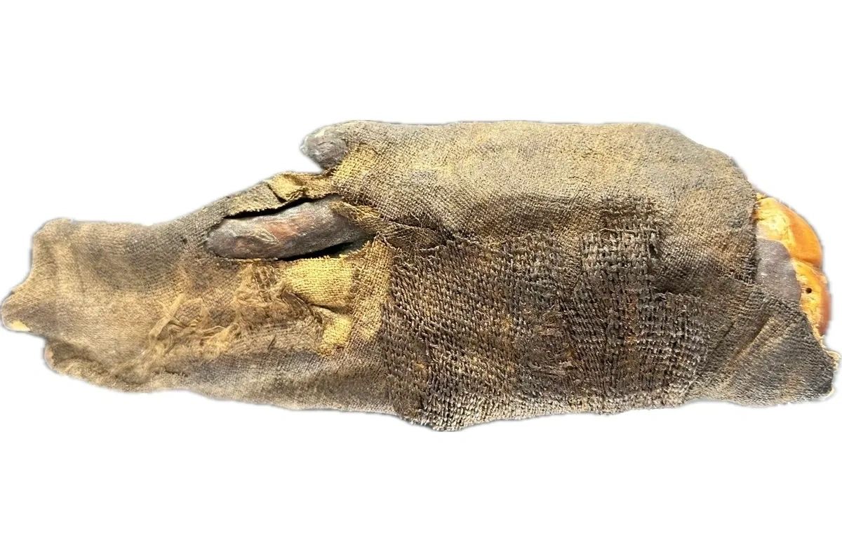 Discover the Mysteries of Ancient Egyptian Mummified Hands