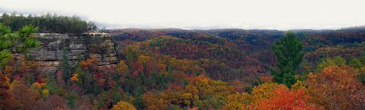 Home [gorgecabins.com]