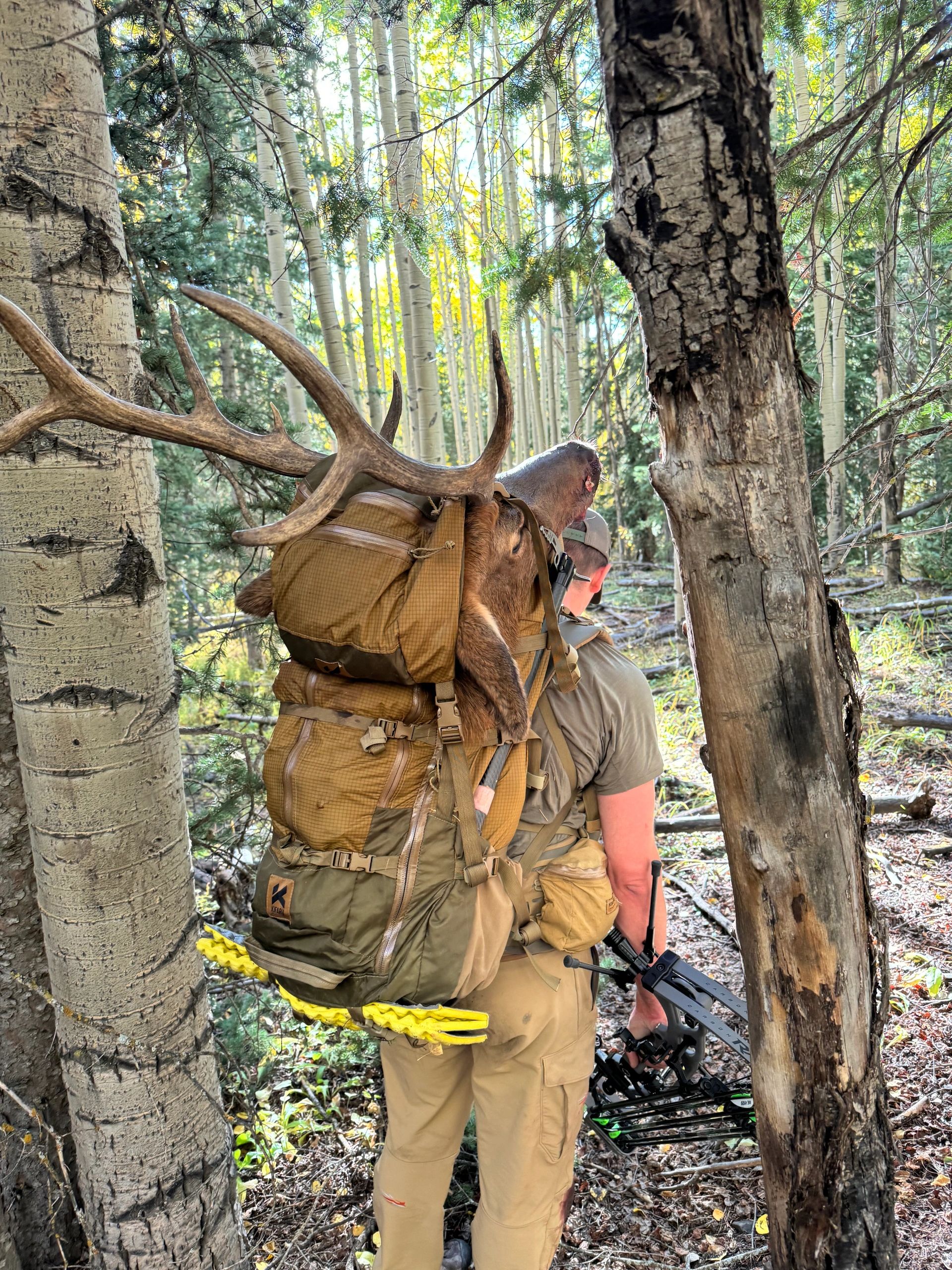 The Kifaru Switch: How the Absaroka Pack & Ark Frame Won Me Over