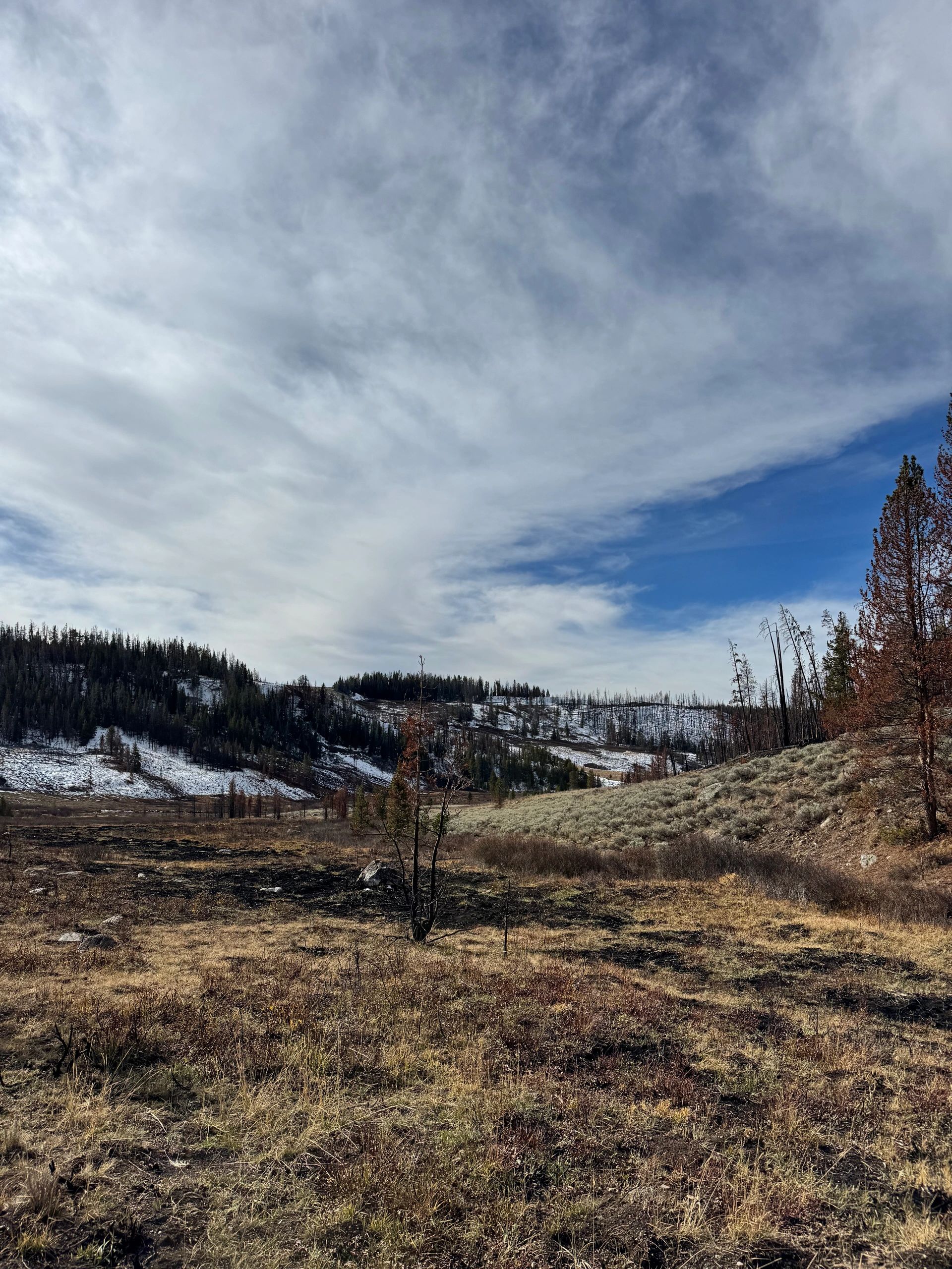 Step Into the Arena: Leading Western Hunting Forward