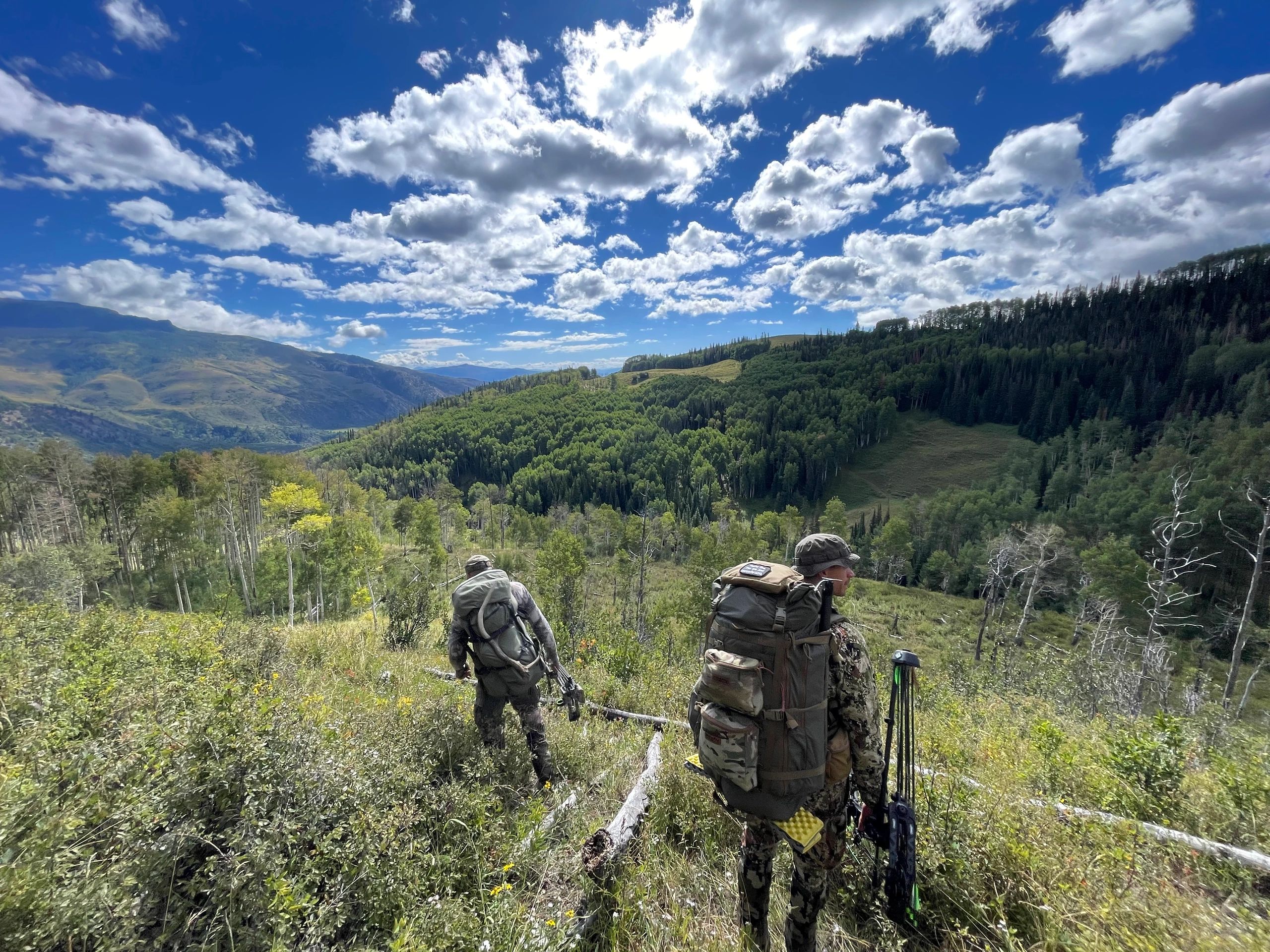 Unveiling the Blueprint: My Elk Hunting Plans for 2024 and Beyond