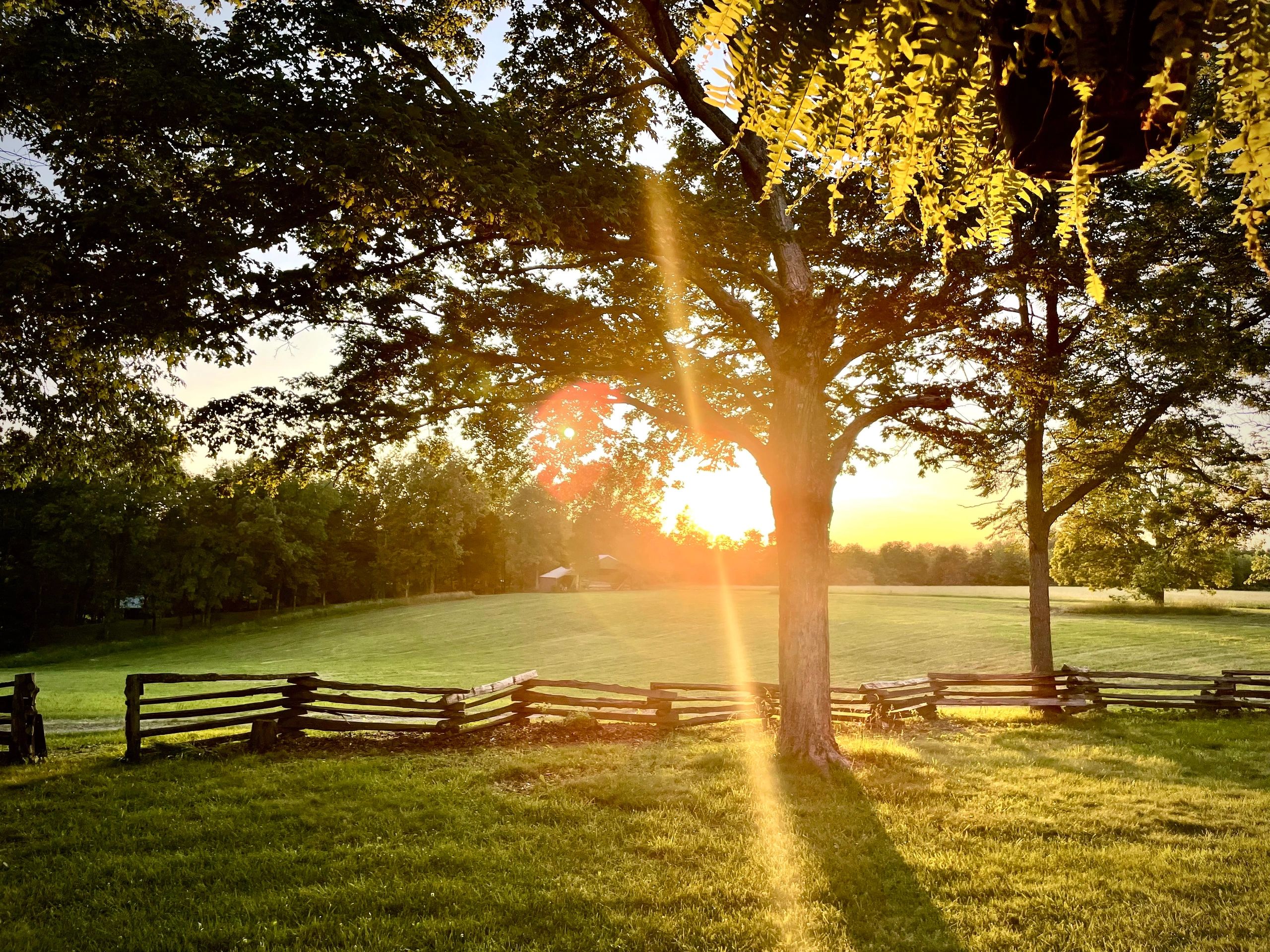 The Fields of Zephania