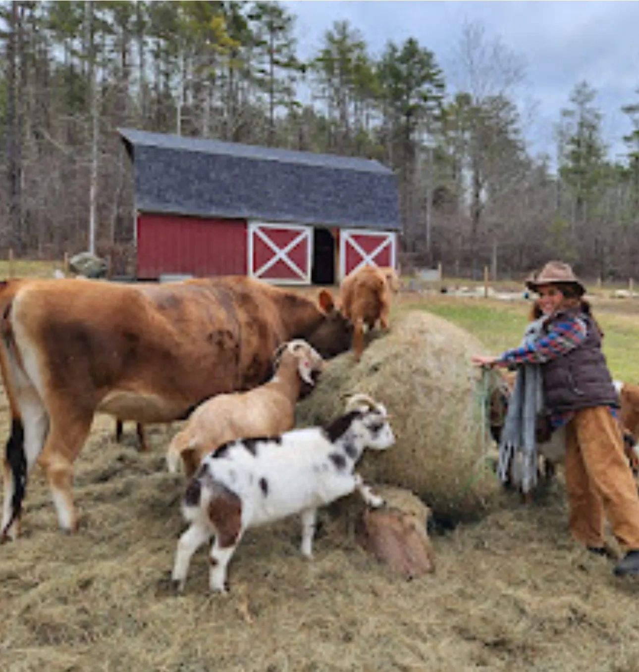 The Connection Between Humans and Animals: Noble Heart Sanctuary