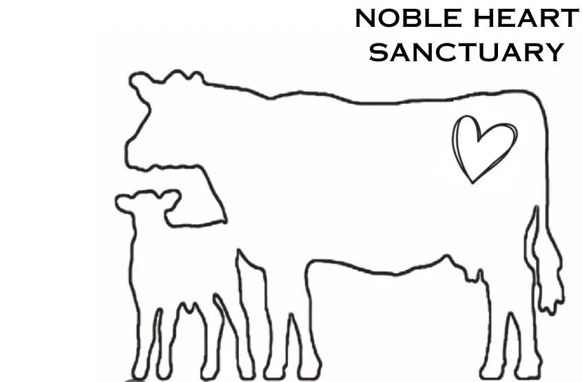 The Connection Between Humans and Animals: Noble Heart Sanctuary