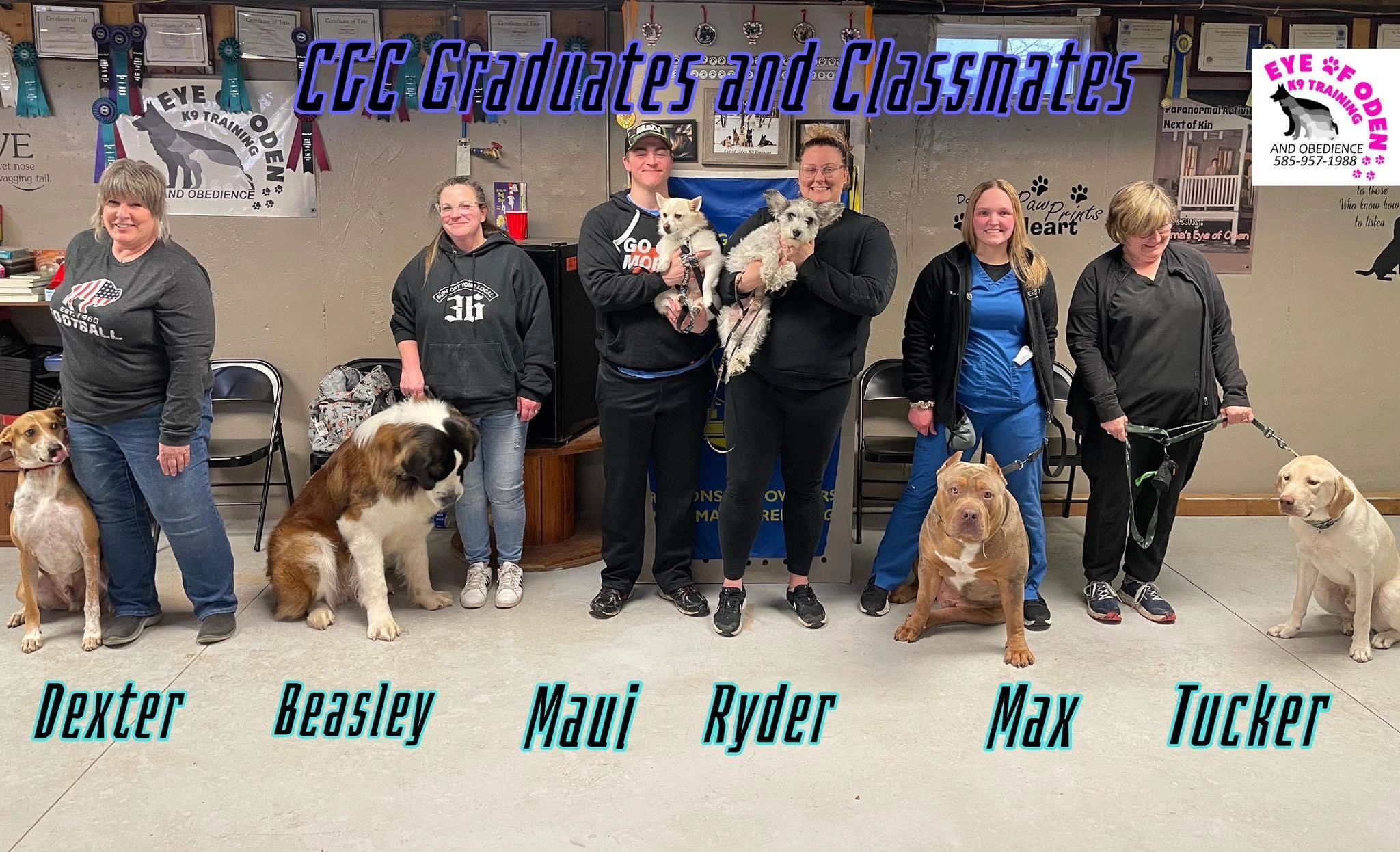 Akc Cgc Obedience Training Tuesday 6 30pm