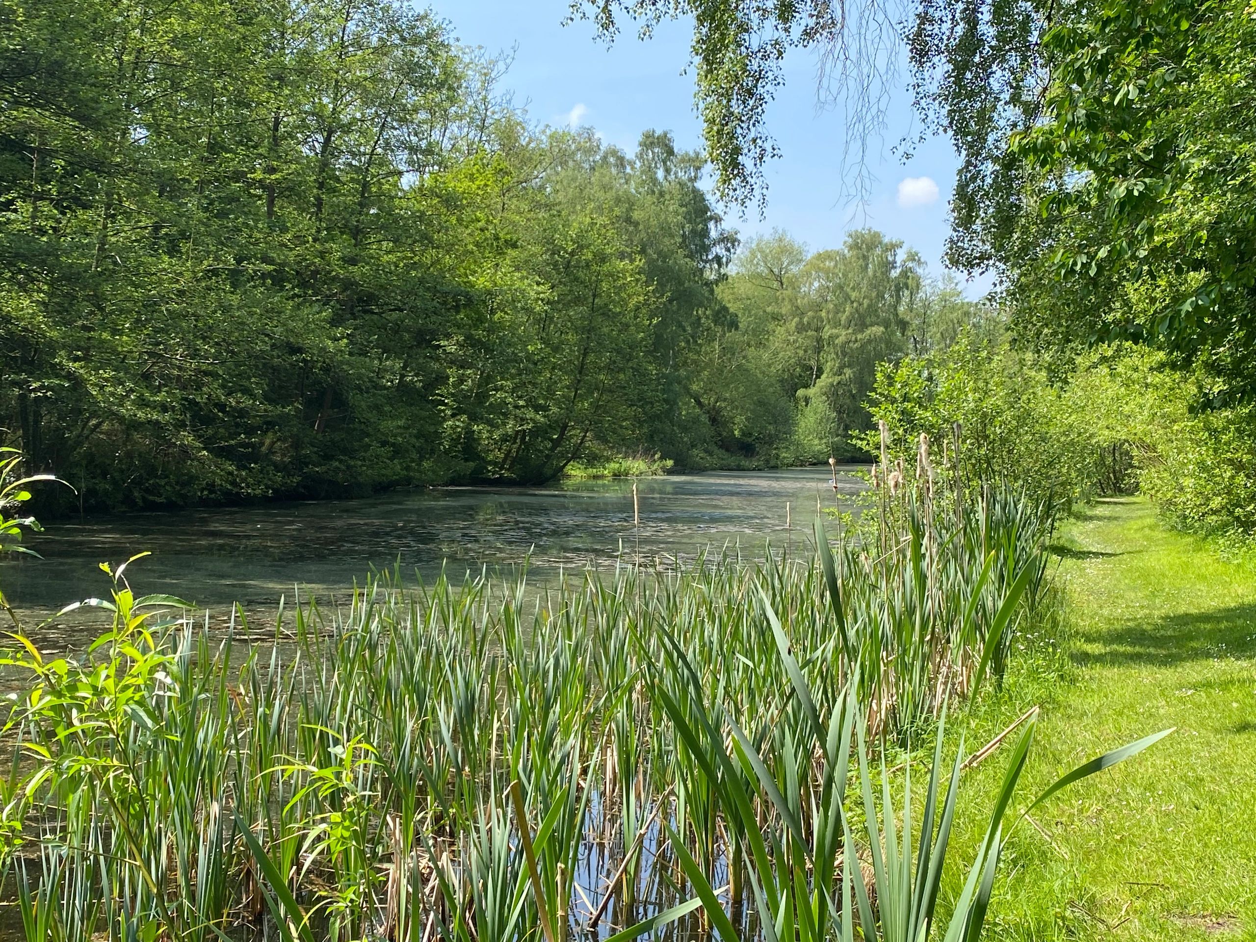 Hevingham Lakes - Norfolk Caravans & Camping