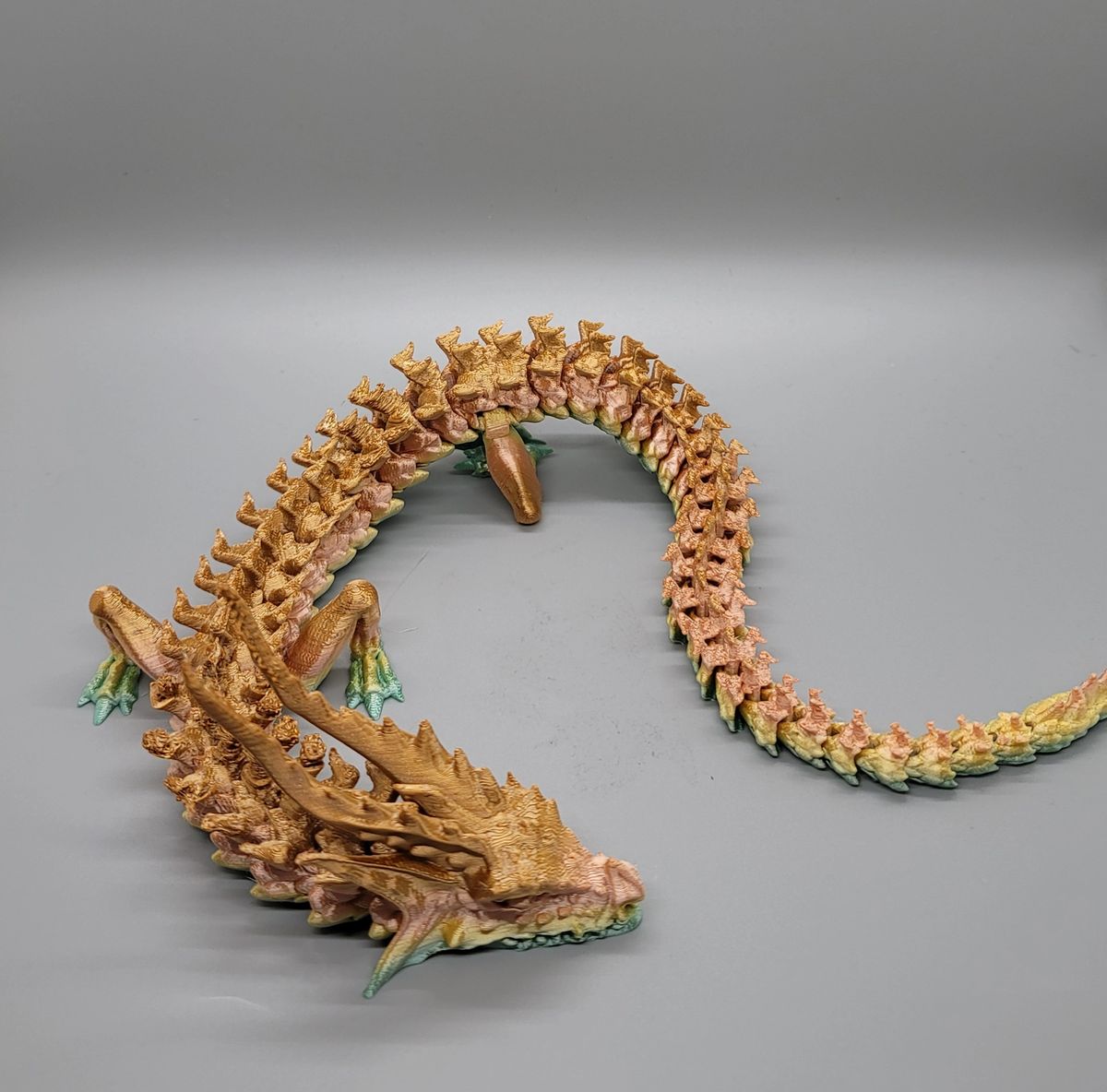 Full Moon Articulated dragon