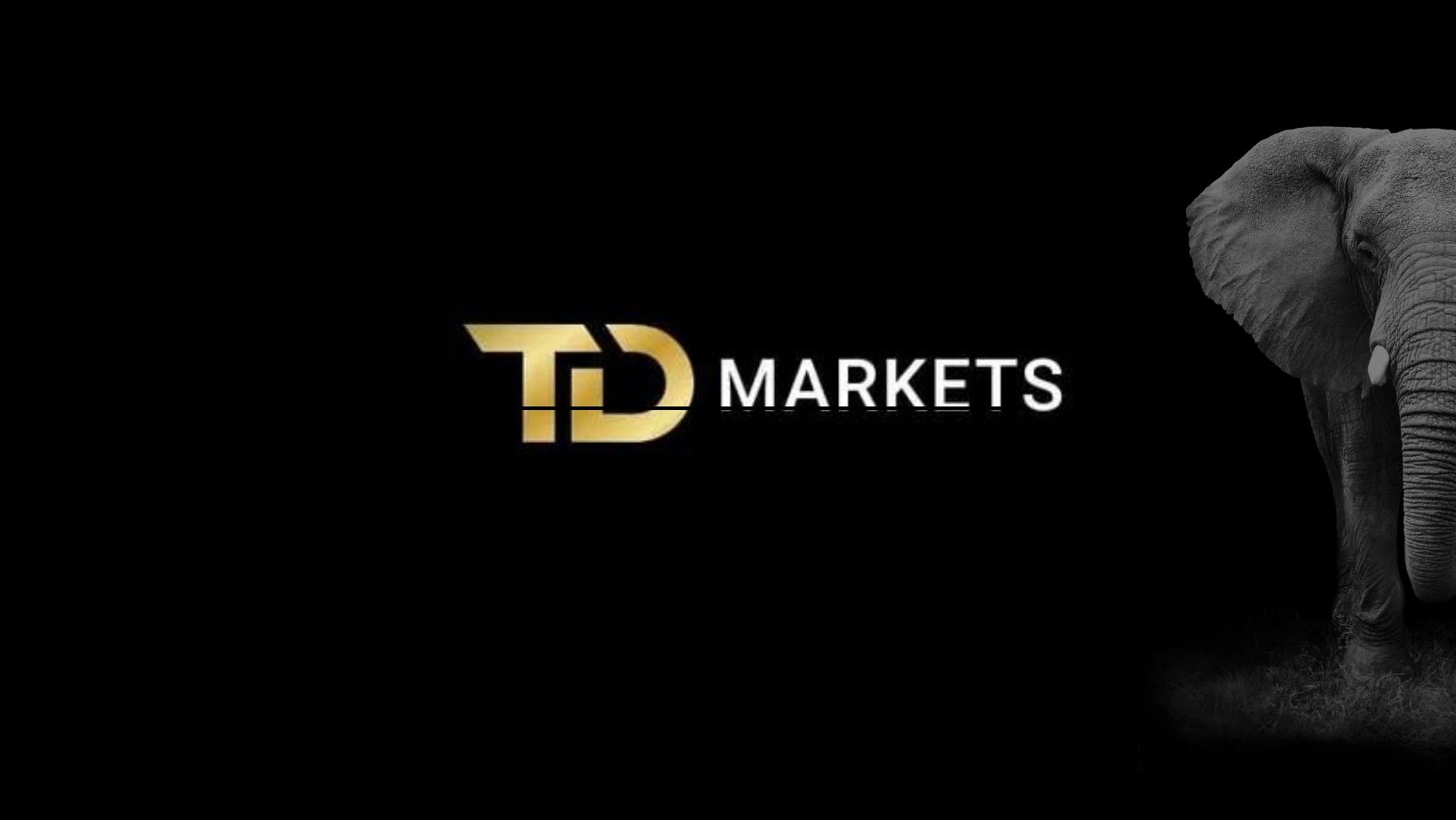 TD Markets Review: Pros and Cons of Trading with TD Markets