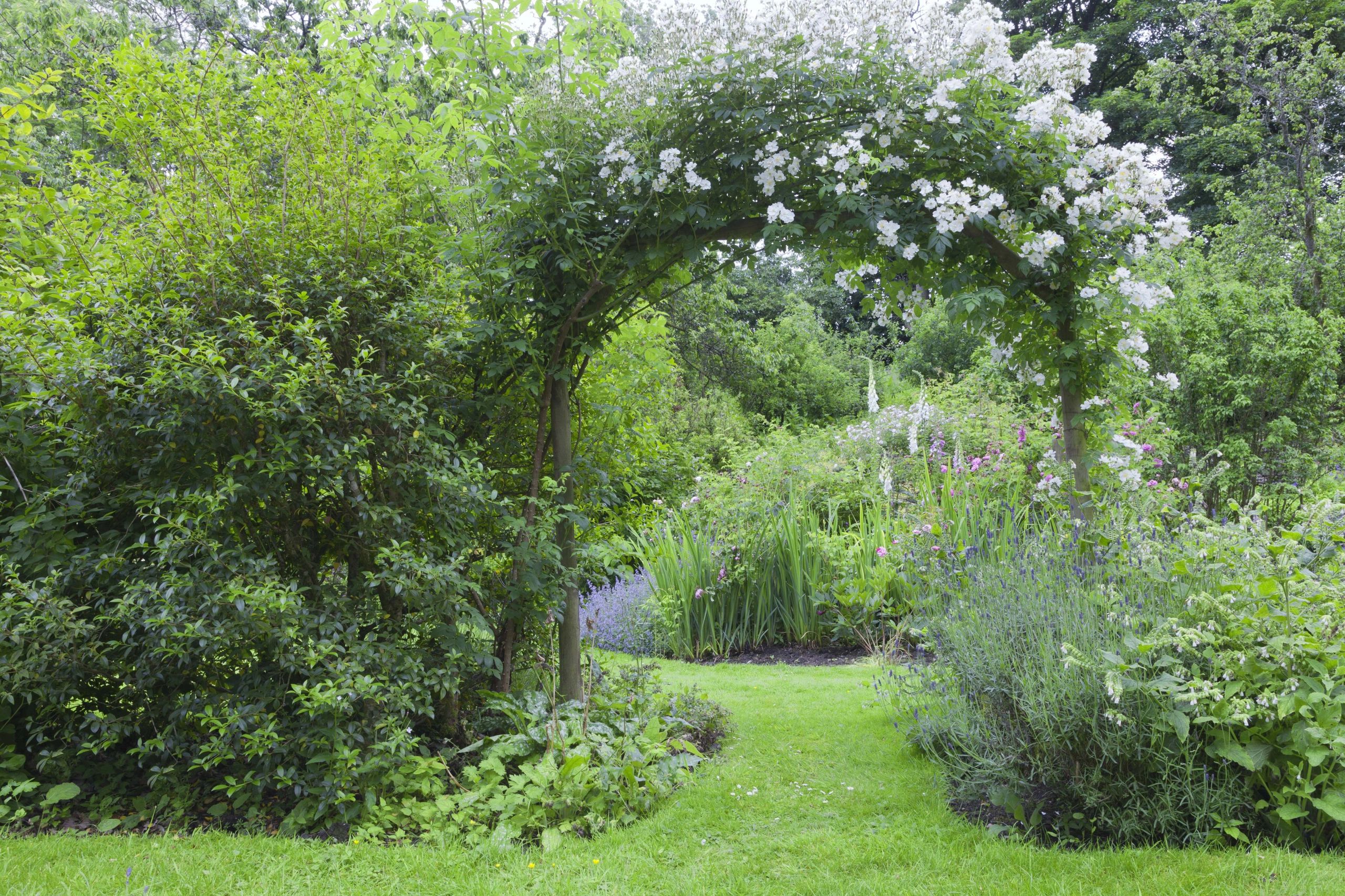 Notes from a Secret Garden