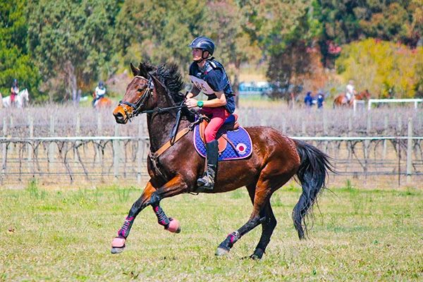 Saddle Up for Success with 2024 MEMBERSHIP