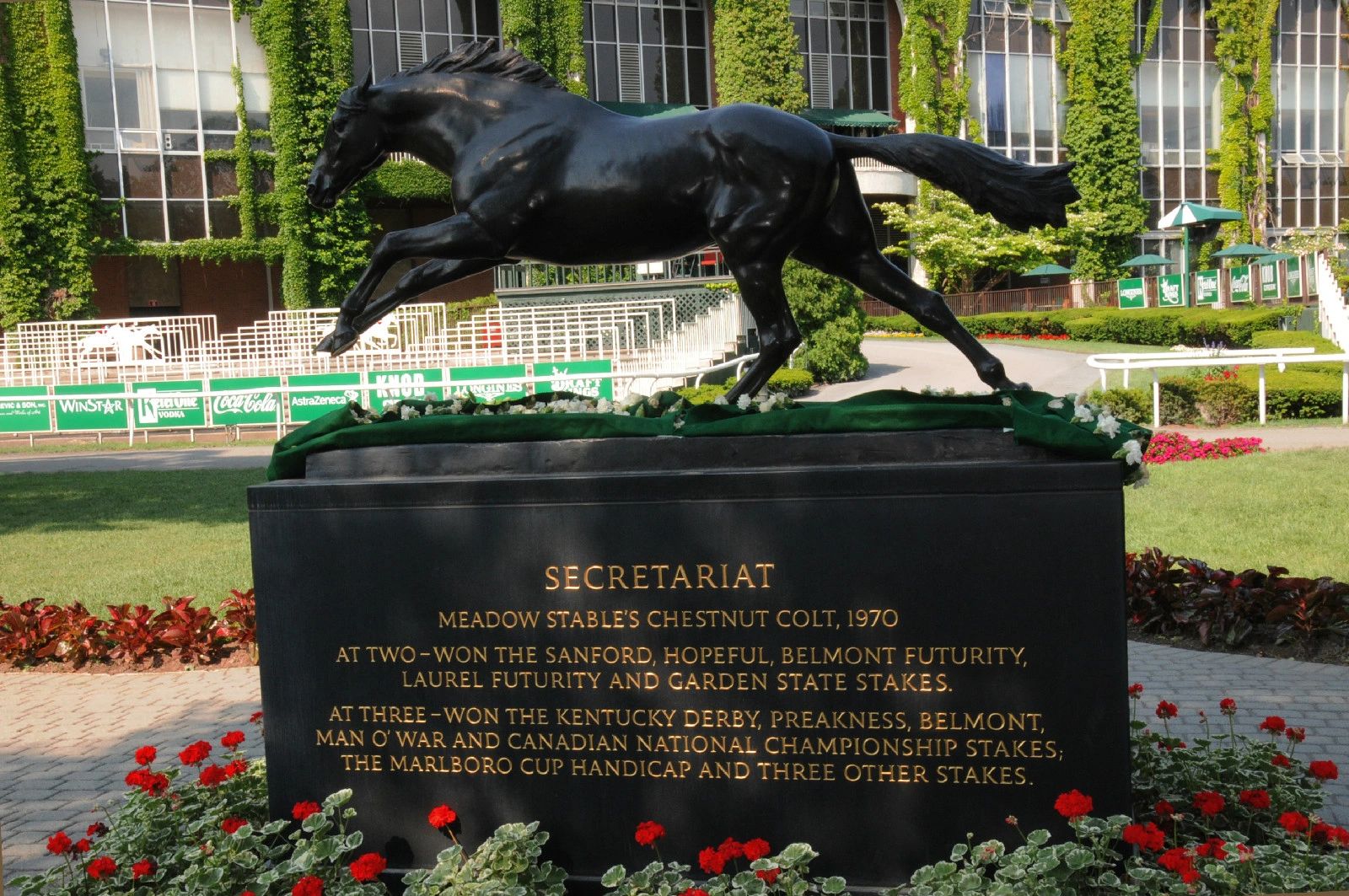 Home Page [holtsvillehal.org]