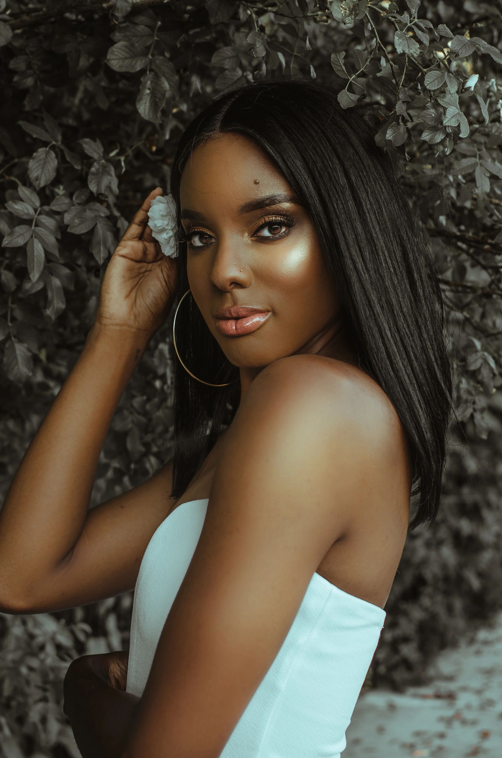 LaShawna T. Johnson